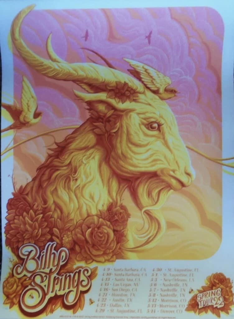 Billy Strings Billy Base - Poster Landing Page